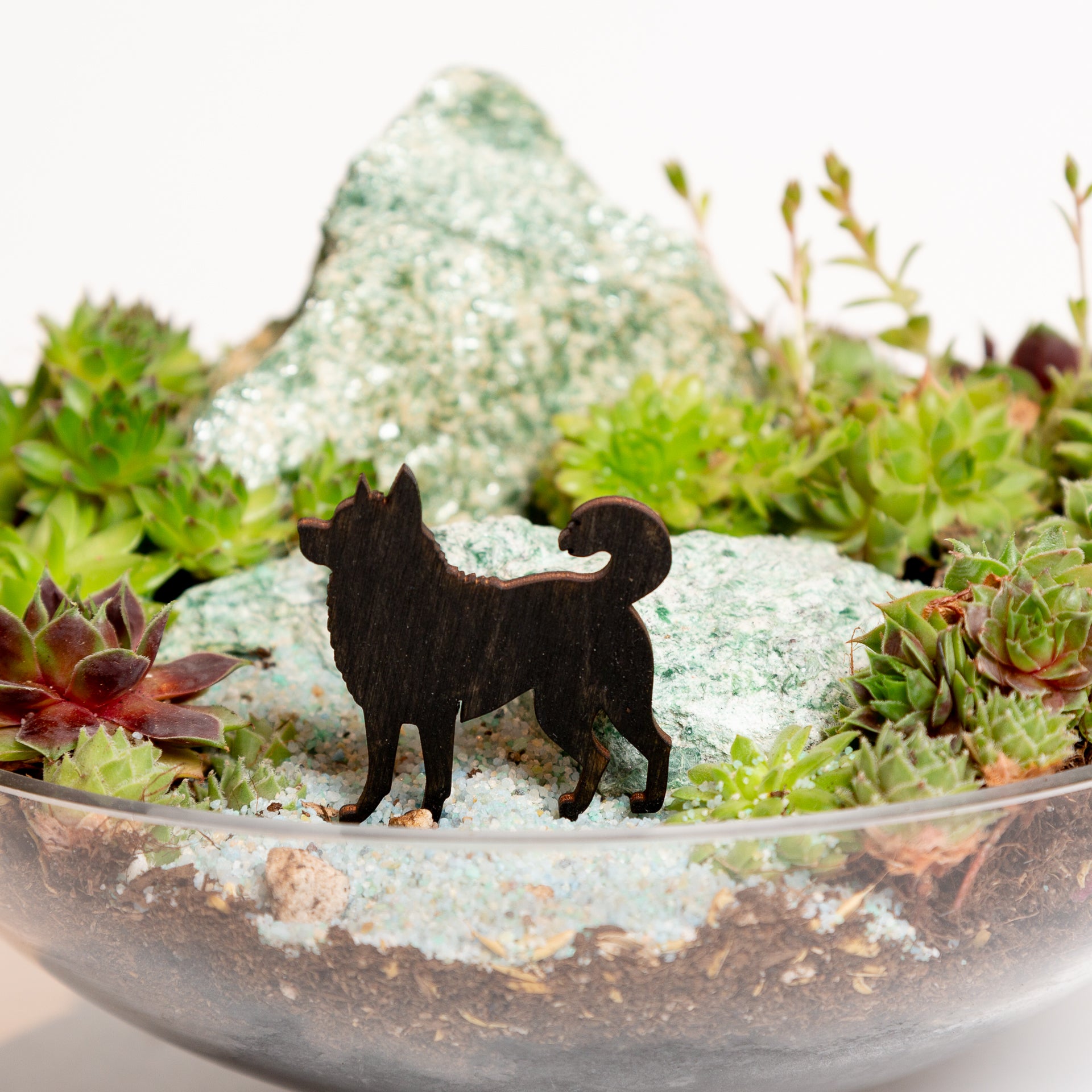 Mini Sign - Husky – Urban Sprouts