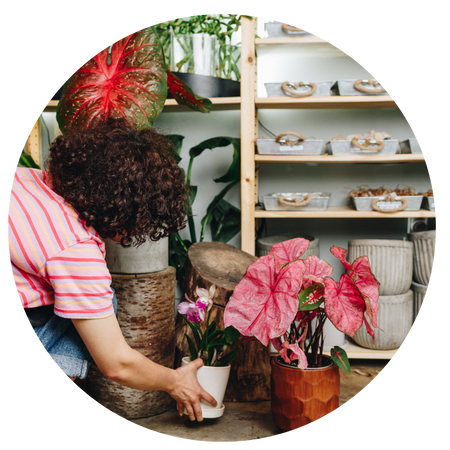 So much more than a plant store – Urban Sprouts