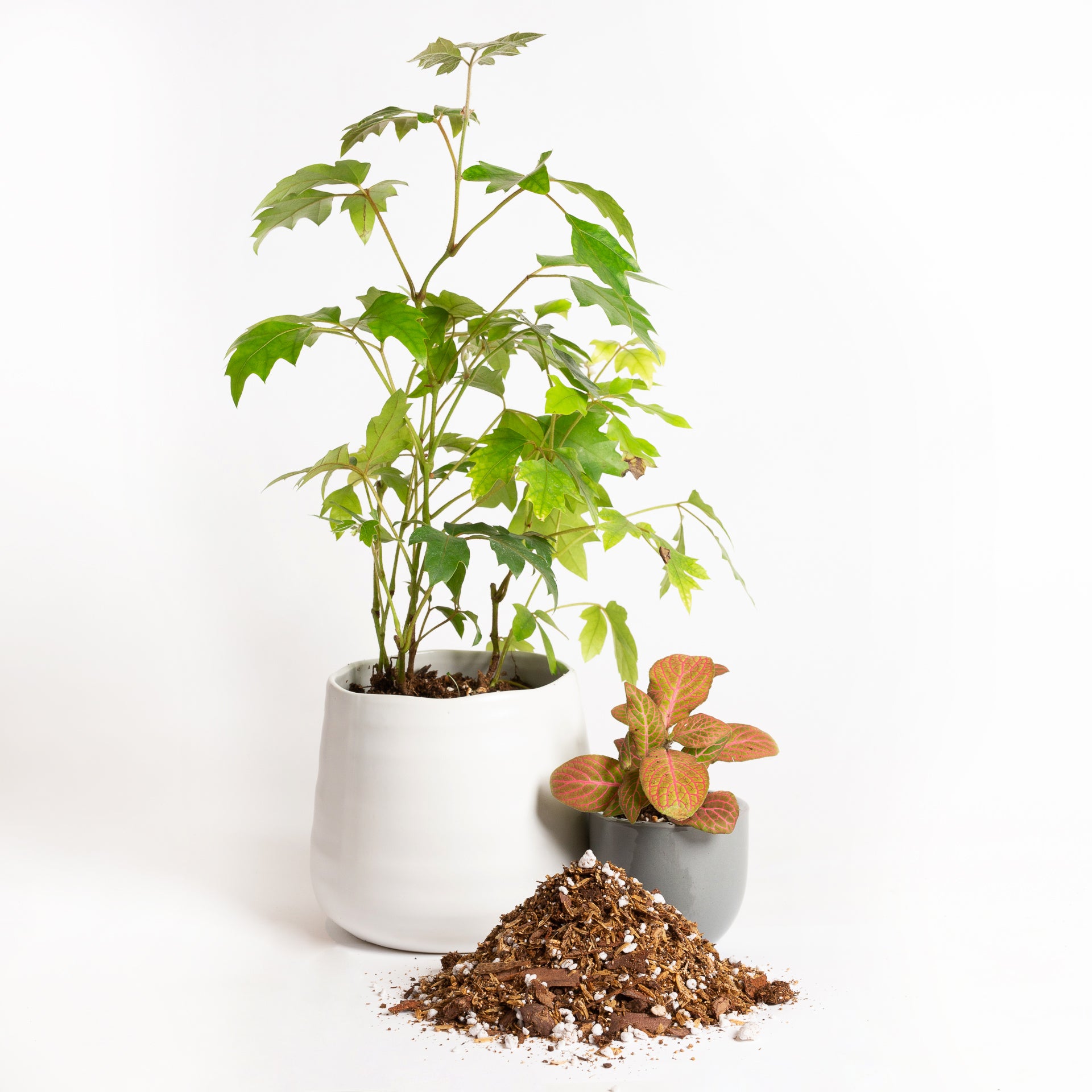 Balanced Blend - Specialty Soil – Urban Sprouts