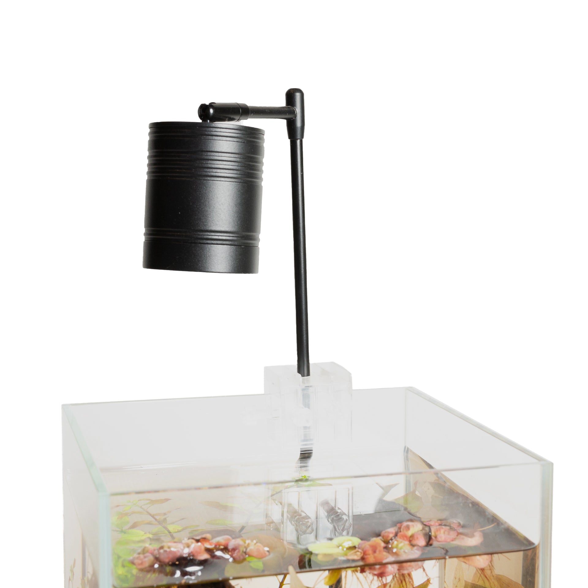 Full Spectrum Cob LED Spotlight – Urban Sprouts