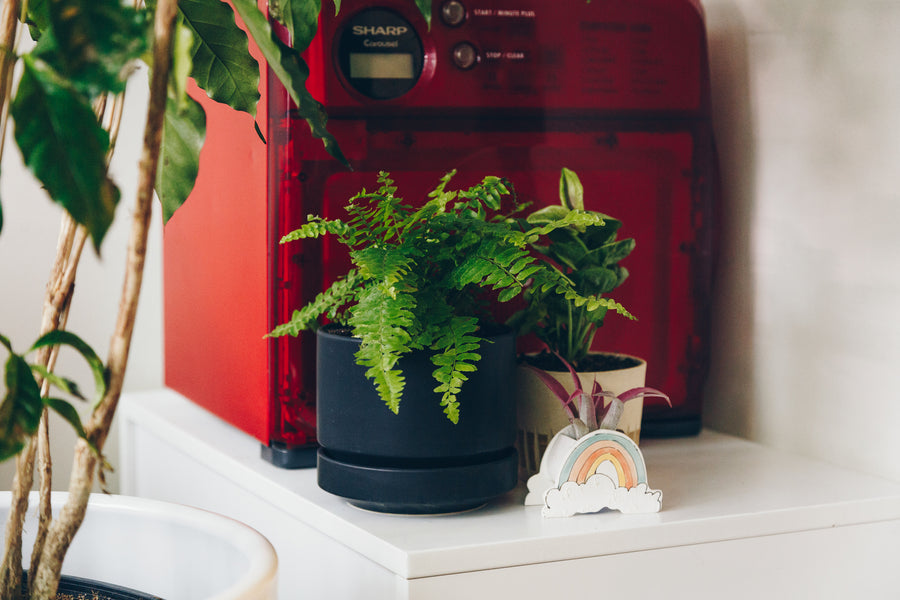 If you see something you love, grab it while it’s here 🌿