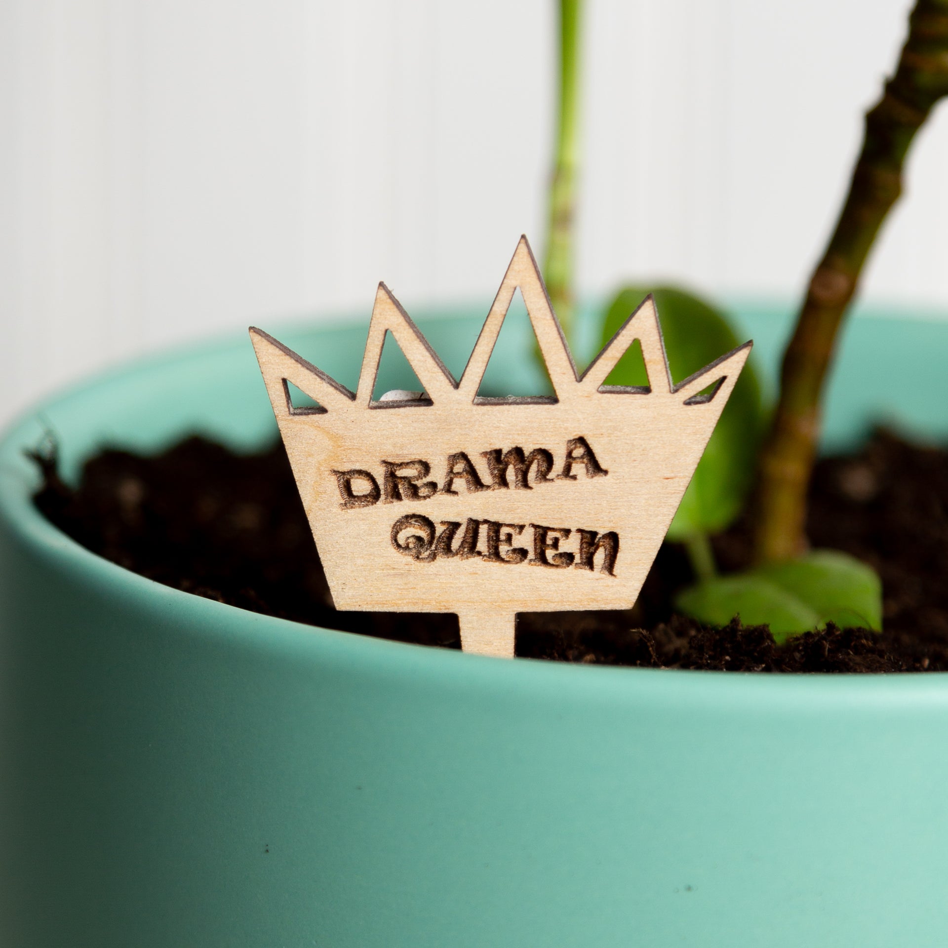 Mini Sign - Drama Queen – Urban Sprouts