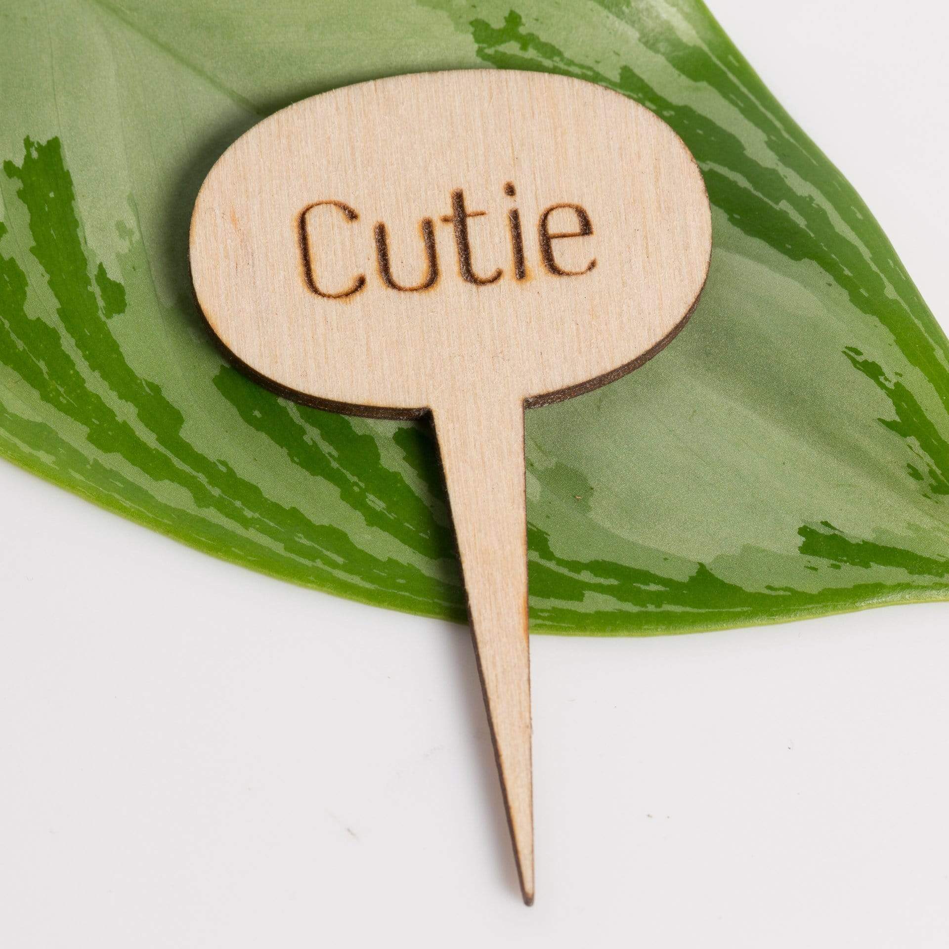 Mini Sign - Cutie – Urban Sprouts