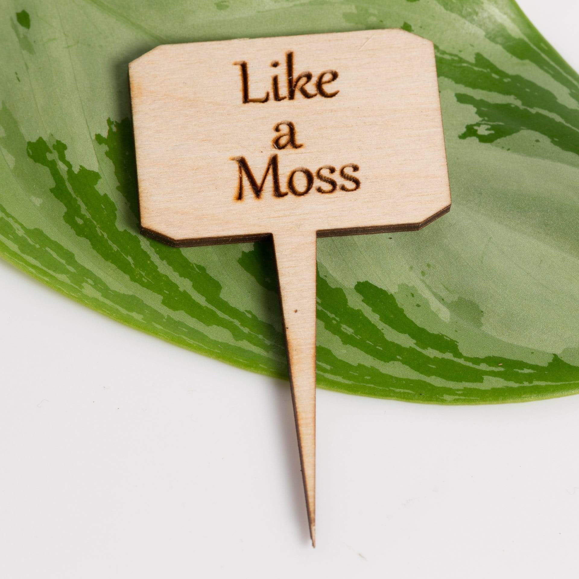 Mini Sign - Like a Moss – Urban Sprouts