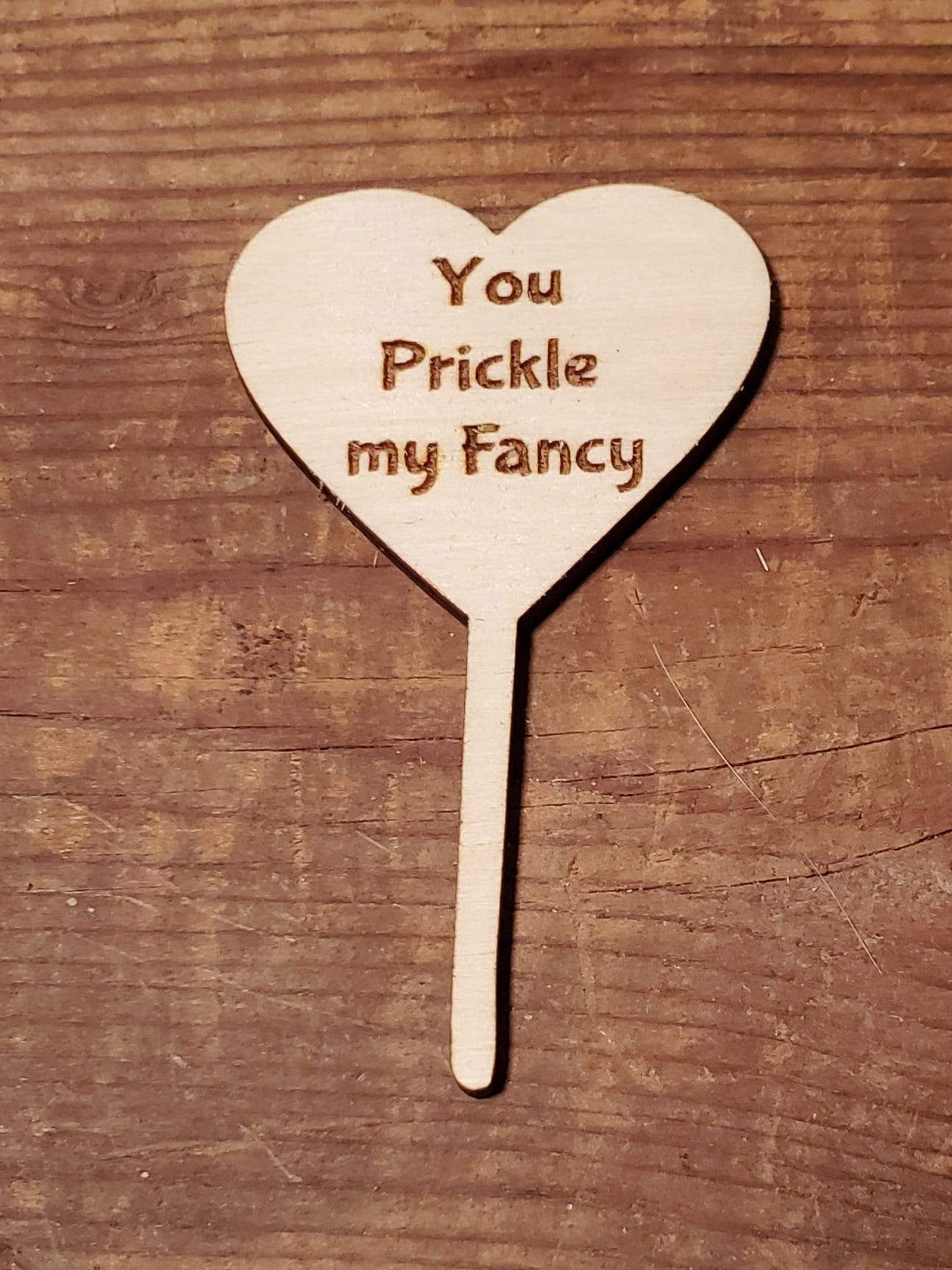 Mini Sign - You Prickle My Fancy – Urban Sprouts